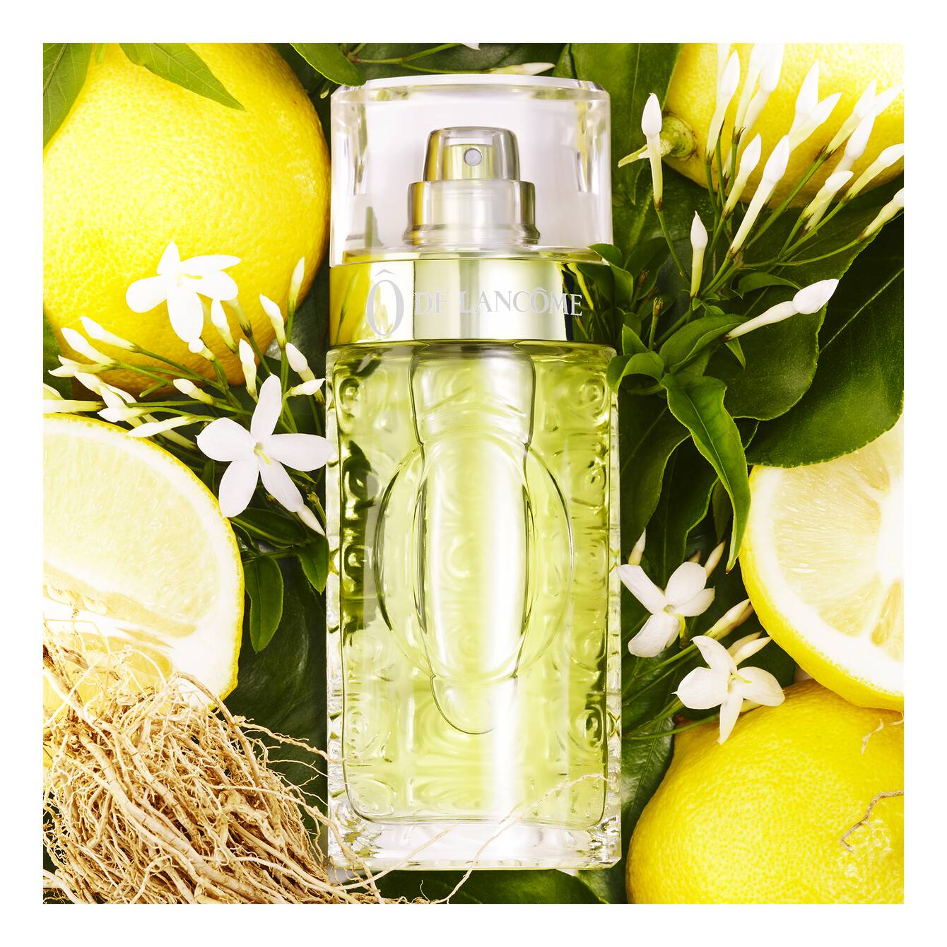 Perfume EDP: ¿Qué significa eau de parfum y en qué se diferencia?